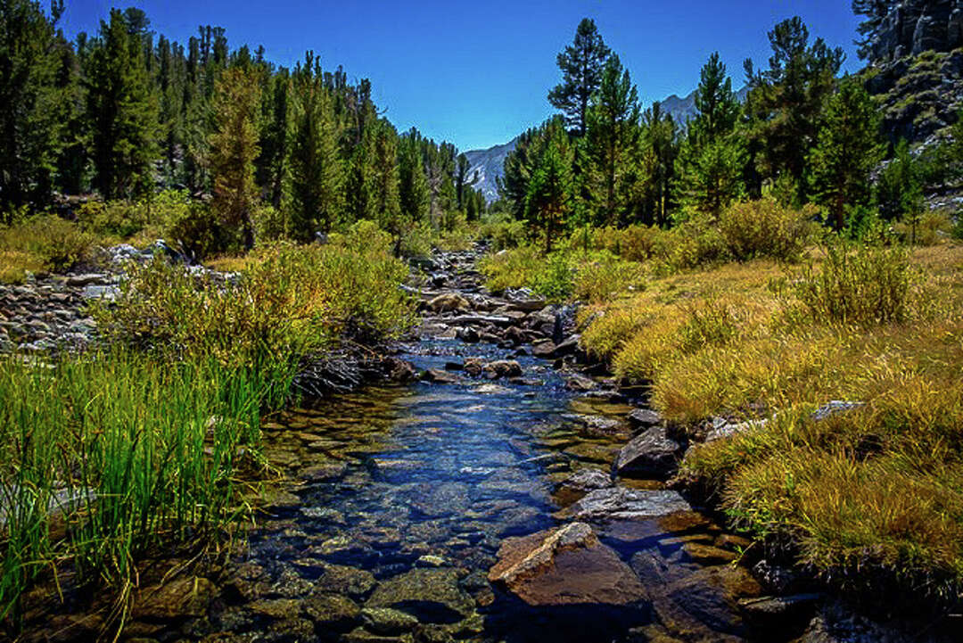 Fall foliage season arrives in Northern California