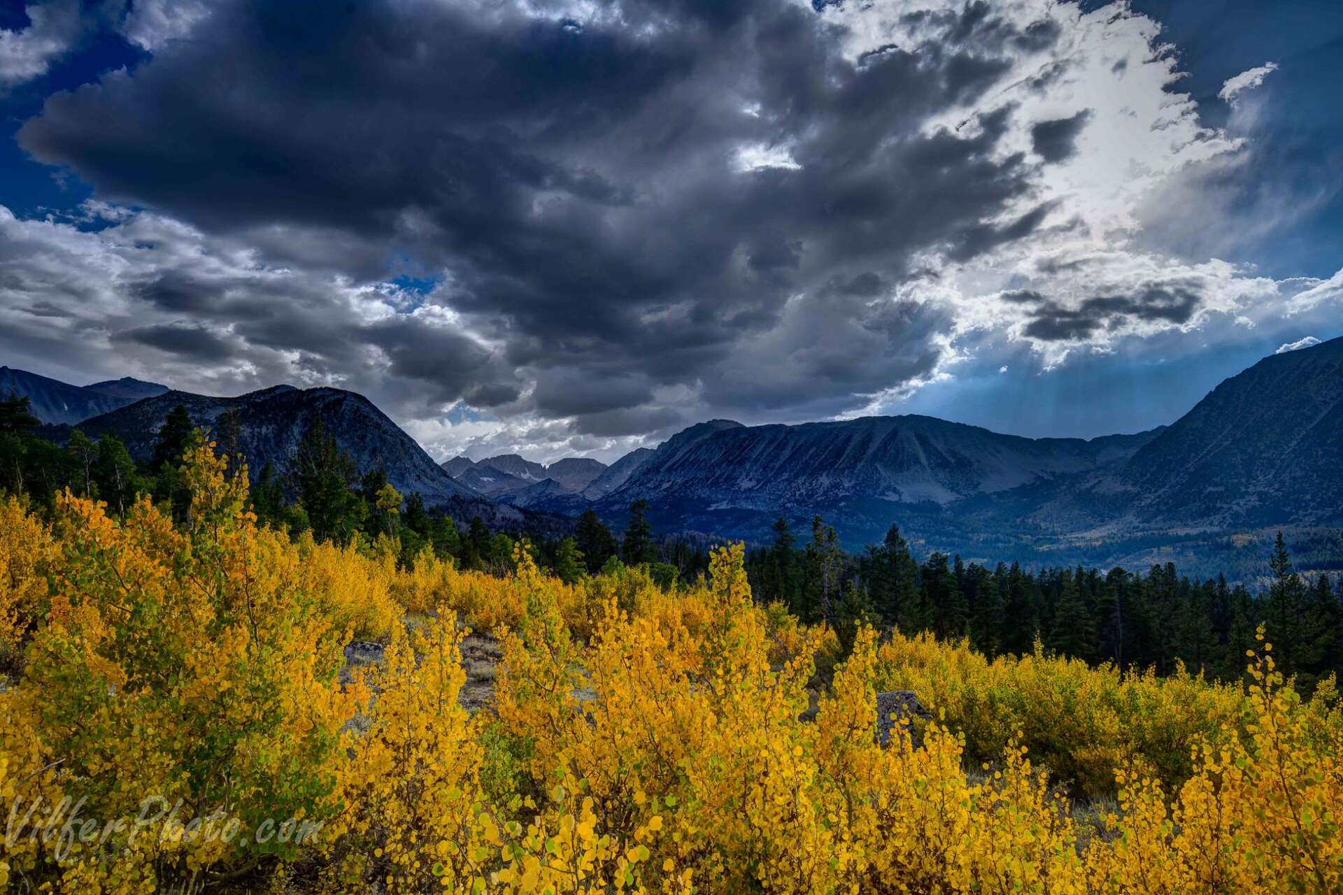 Fall foliage season arrives in Northern California