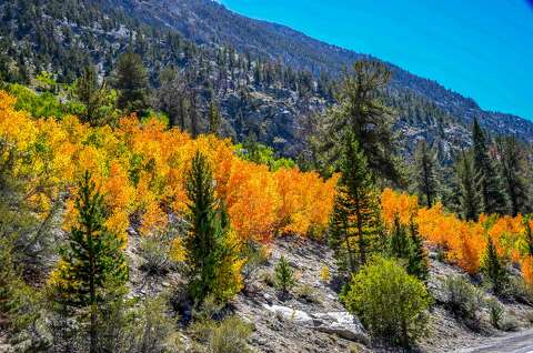 Fall foliage season arrives in Northern California