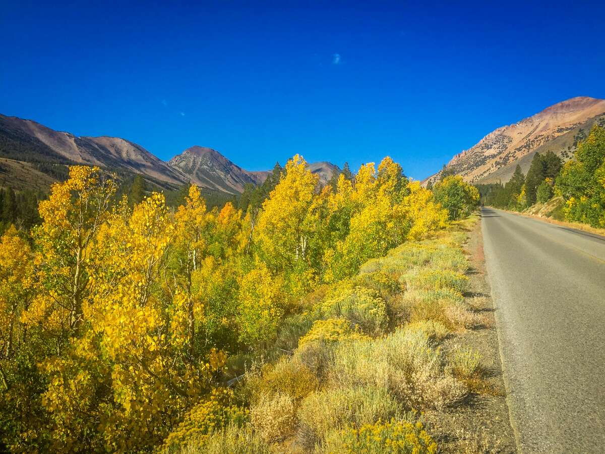 Fall foliage season arrives in Northern California