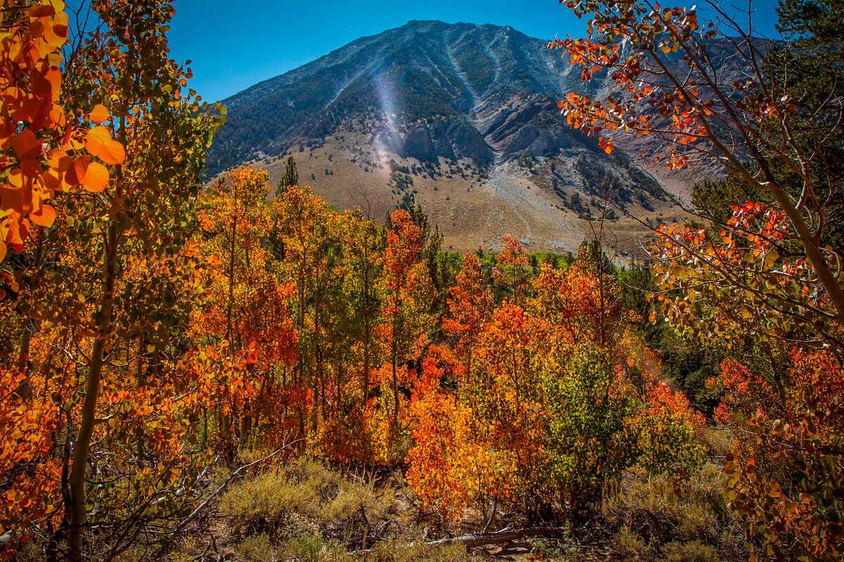 Fall foliage season arrives in Northern California