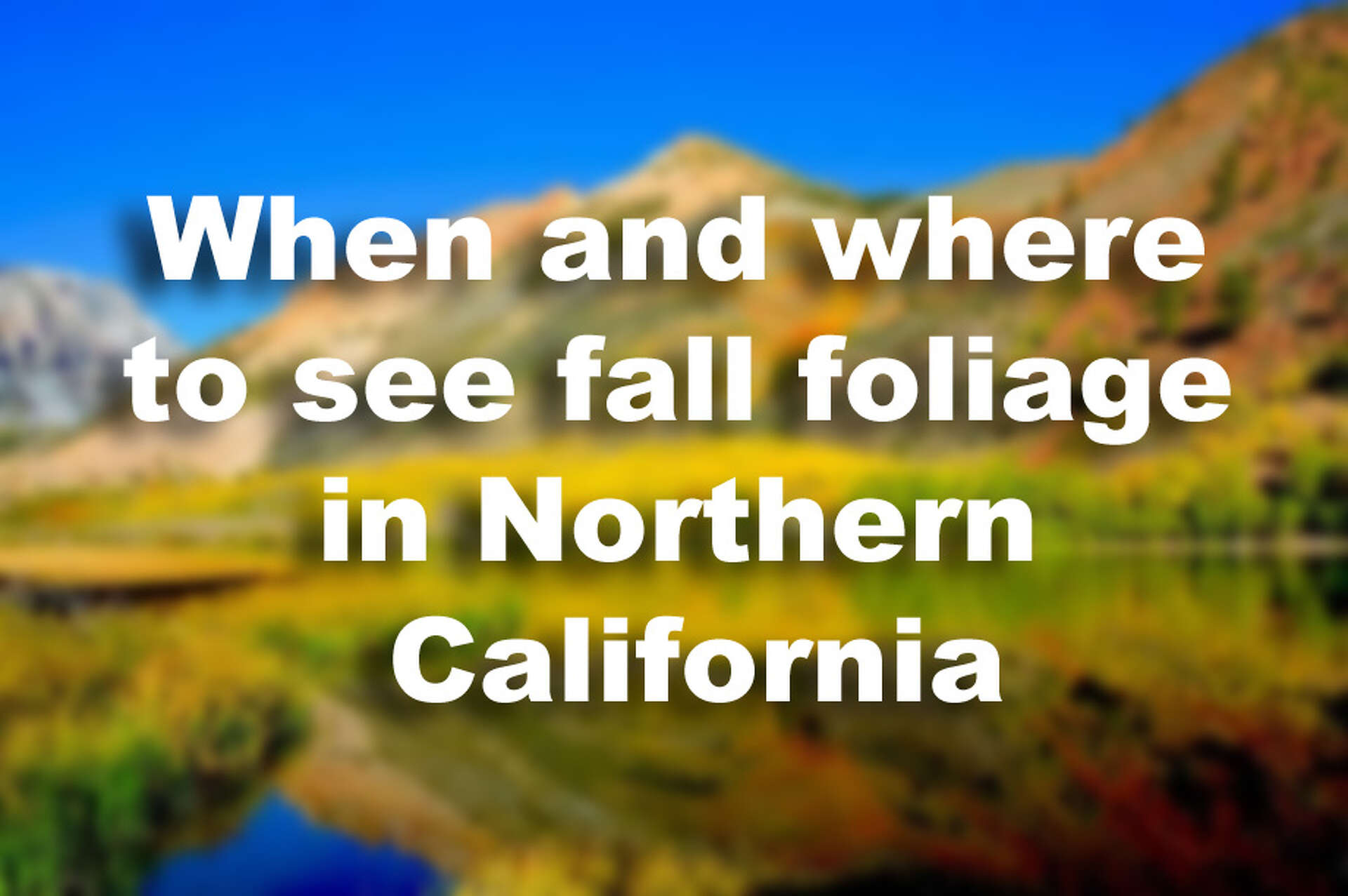 Best bets for fall foliage in the Bay Area and Northern California