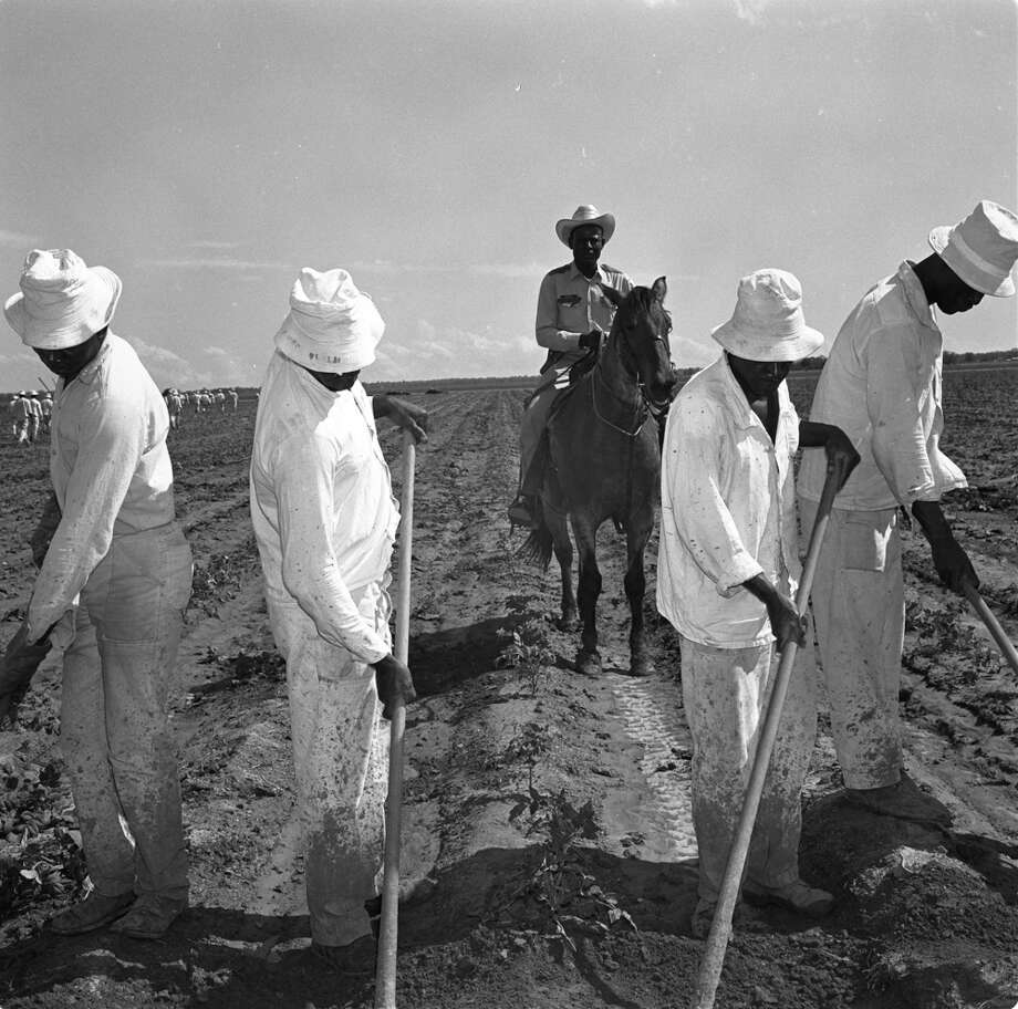Historic photos of Texas prisons show riots, rodeos and chain gangs ...