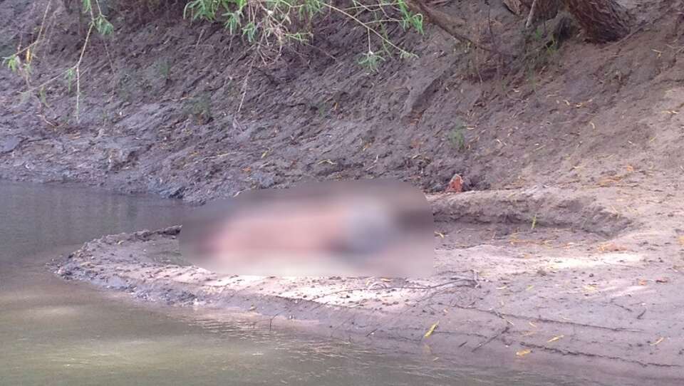 How a Texas man was killed by quicksand on the San Antonio River last year