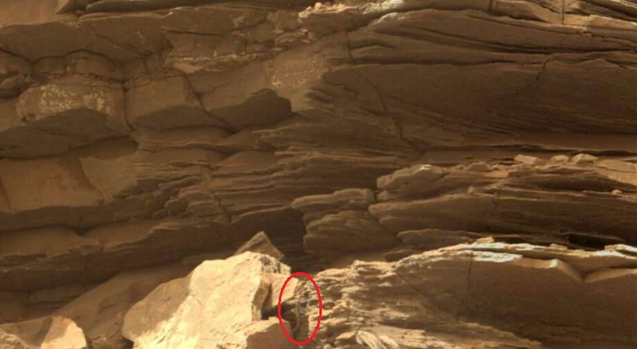Snake spotted in NASA Mars photo feeds growing conspiracy theory ...