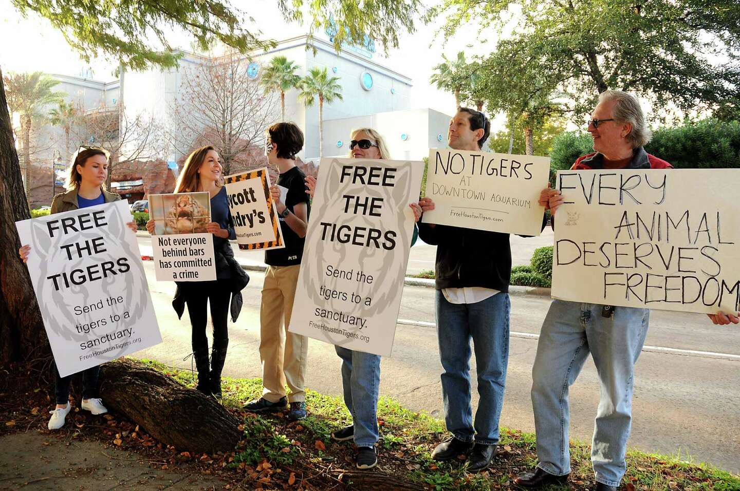 Animal rights group threatens to sue Landry's over tigers at Downtown ...