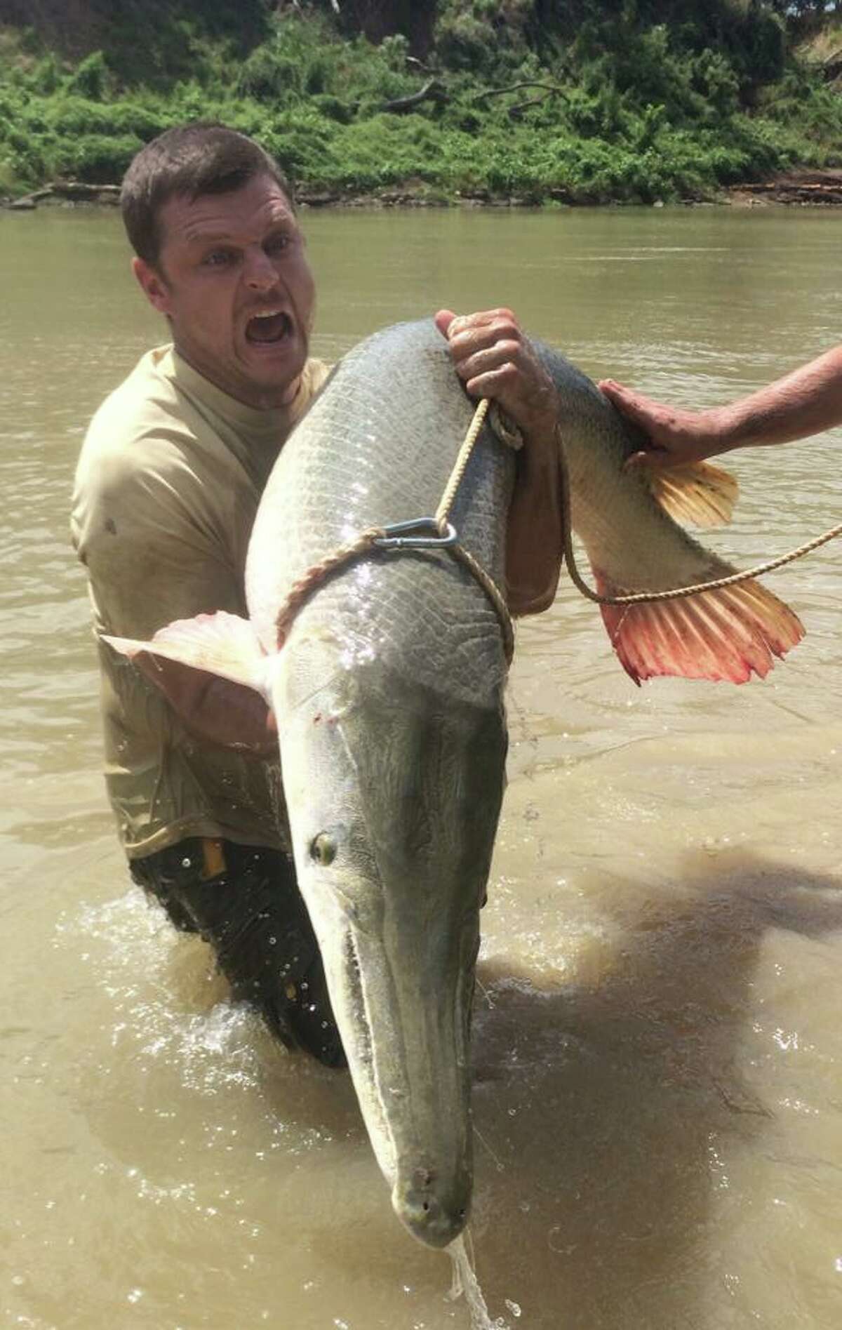 Texas gar fisherman has amassed worldwide attention, records for his ...