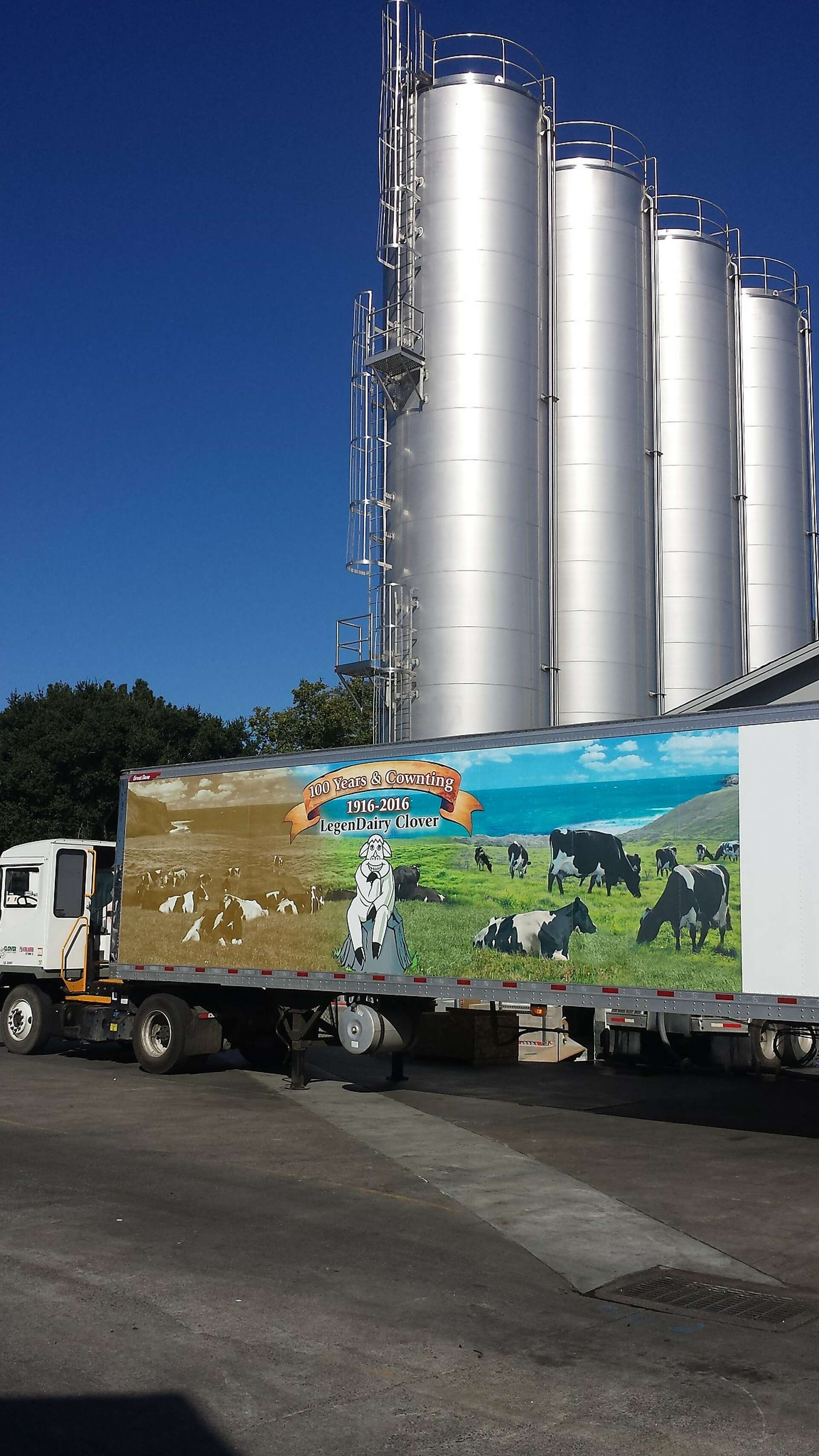Clover to be first major dairy to sell non-GMO conventional milk