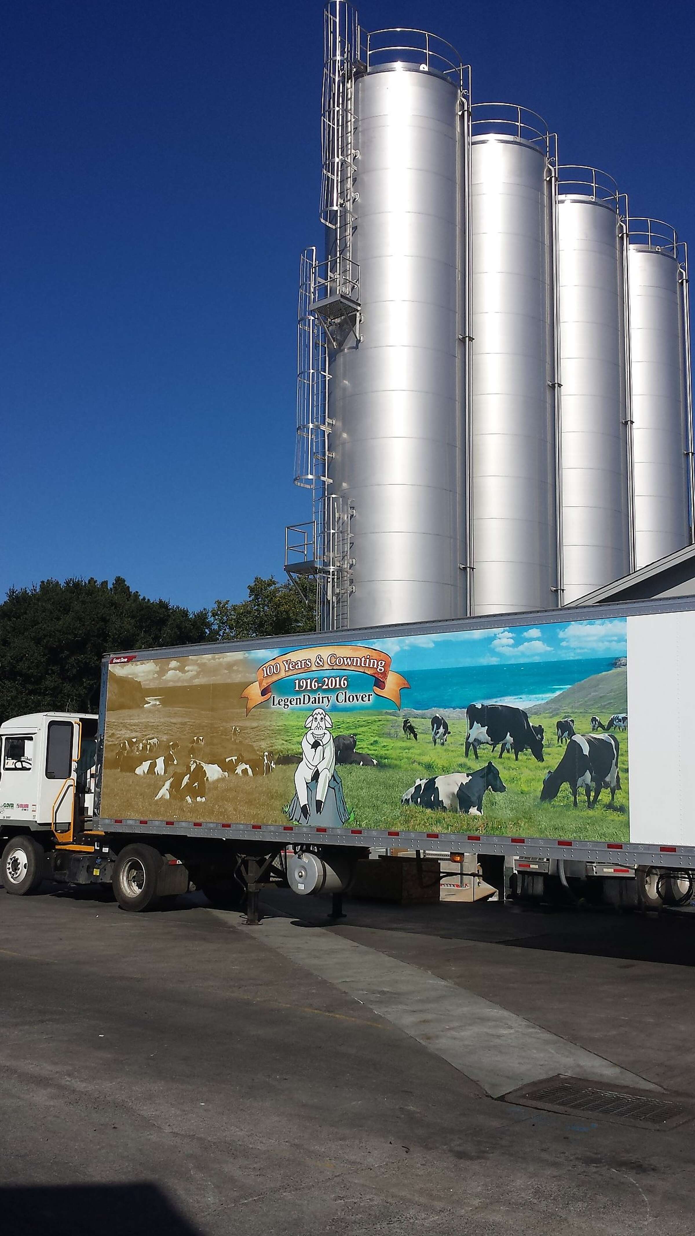 Clover to be first major dairy to sell non-GMO conventional milk