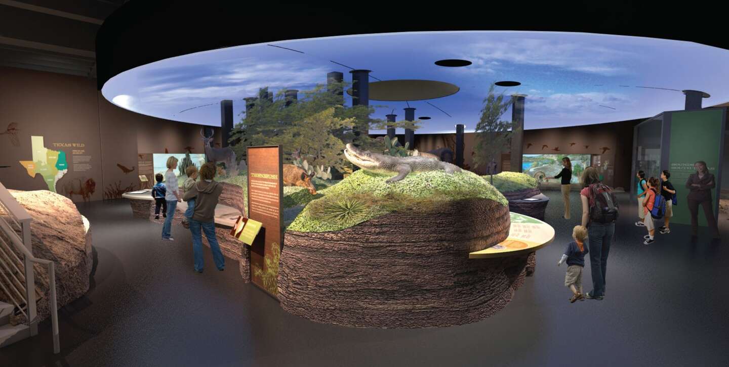 Witte Museum reveals sneak peek of 'once-in-a-100-years transformation ...