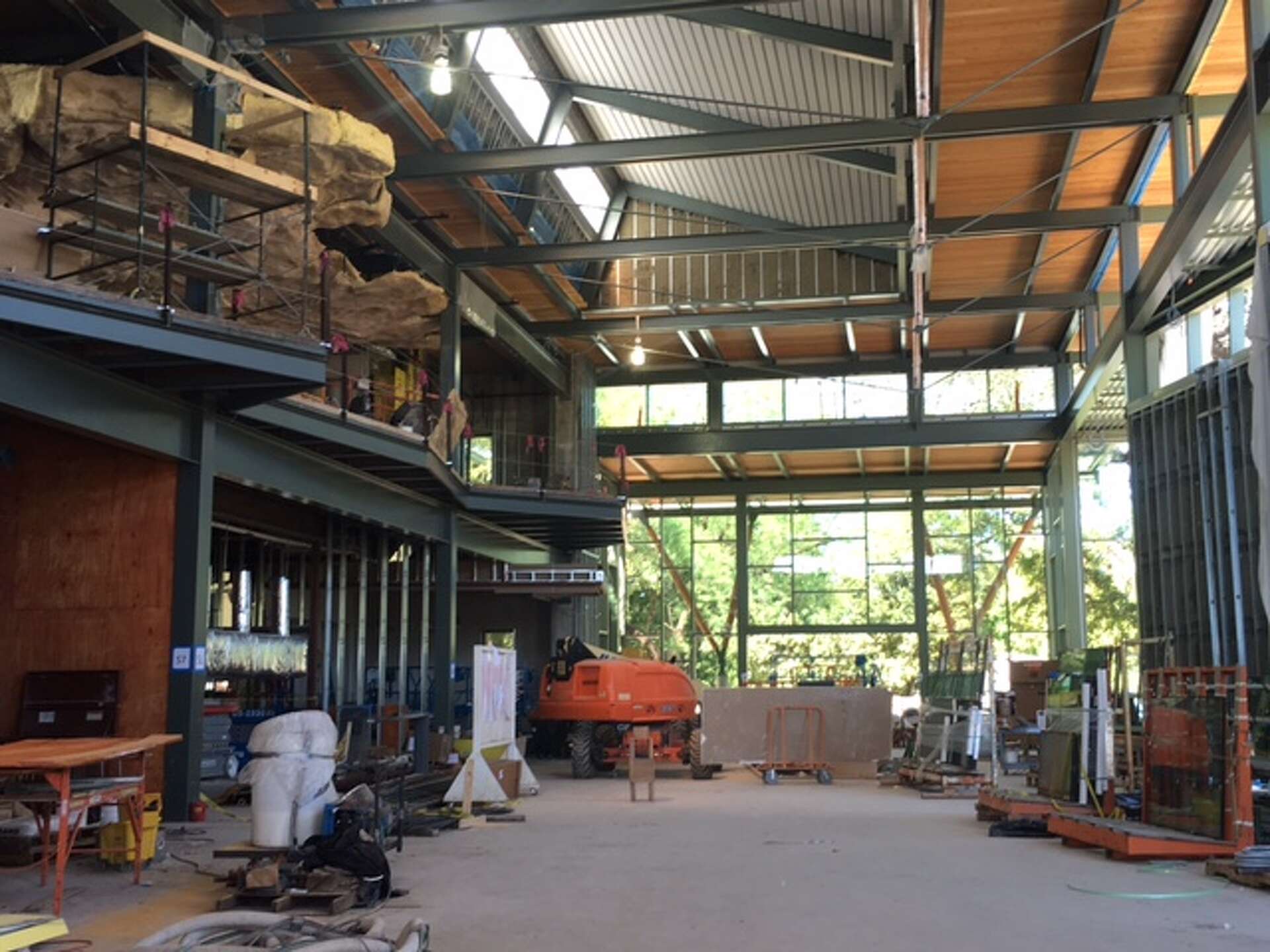 Witte Museum reveals sneak peek of 'once-in-a-100-years transformation ...