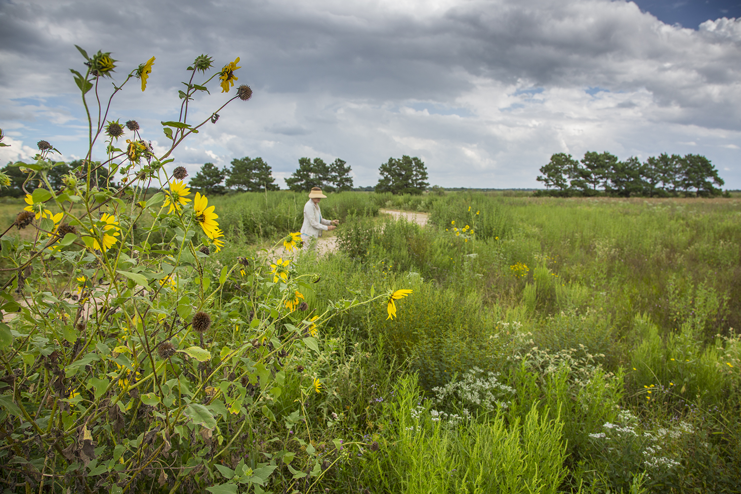 Steve Radack plans $2M environmental education center on Katy Prairie