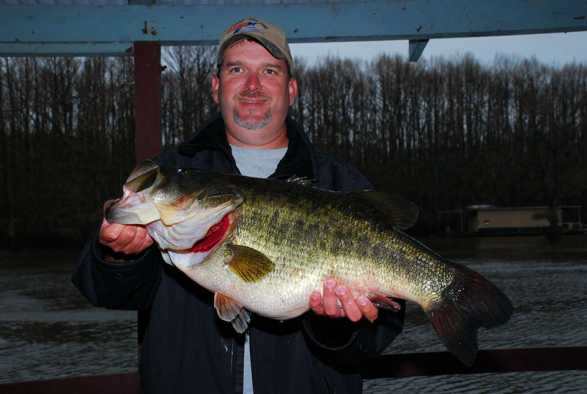 Photos of the biggest largemouth bass in Texas