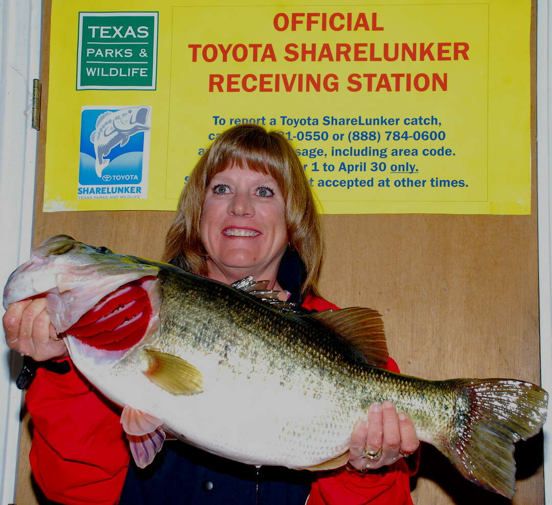 Photos of the biggest largemouth bass in Texas