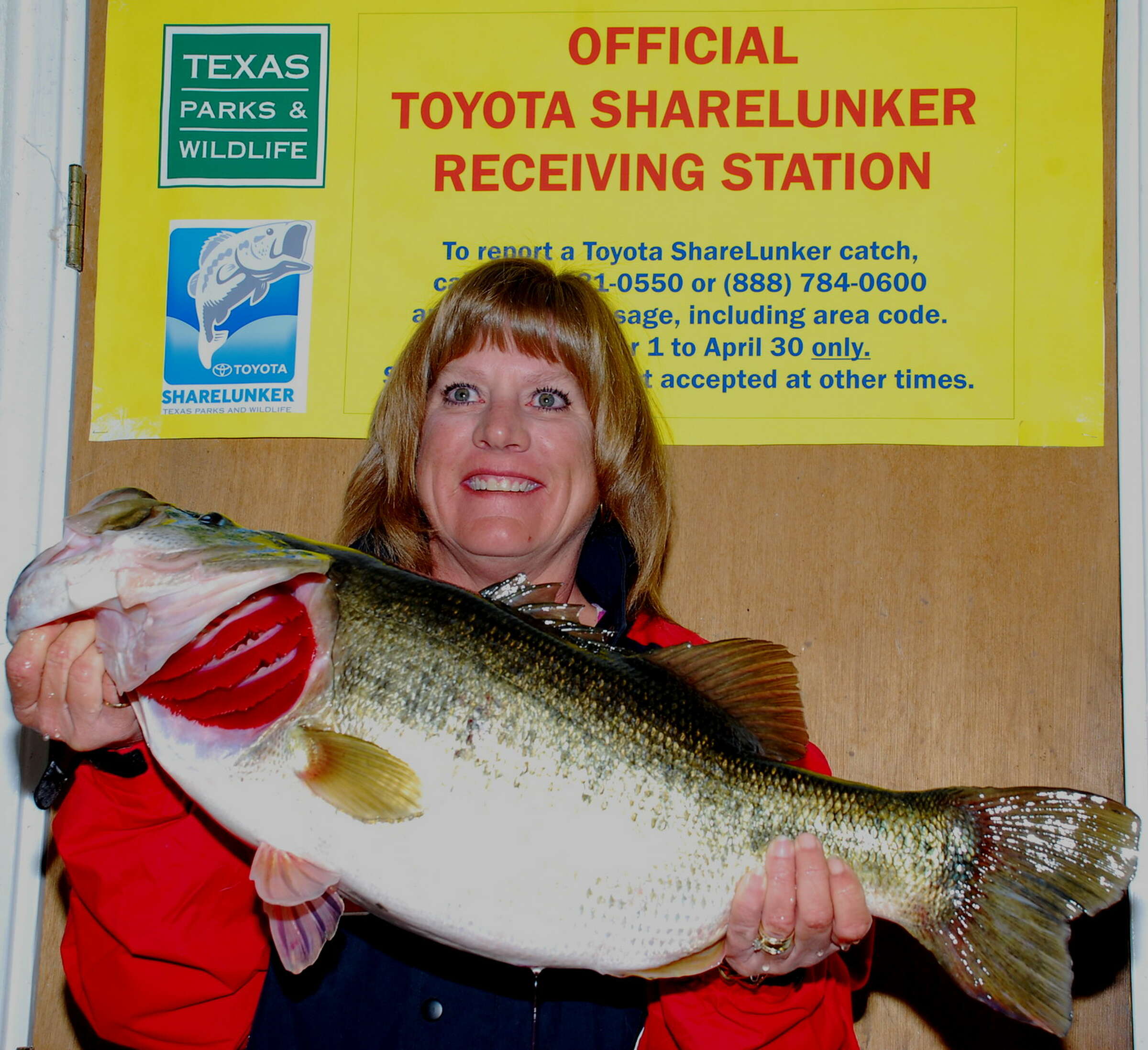 Photos of the biggest largemouth bass in Texas