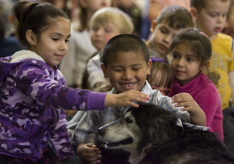 Dogs of Character help teach children about bullying