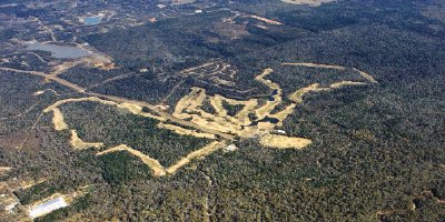 Woodforest sales continue to surge