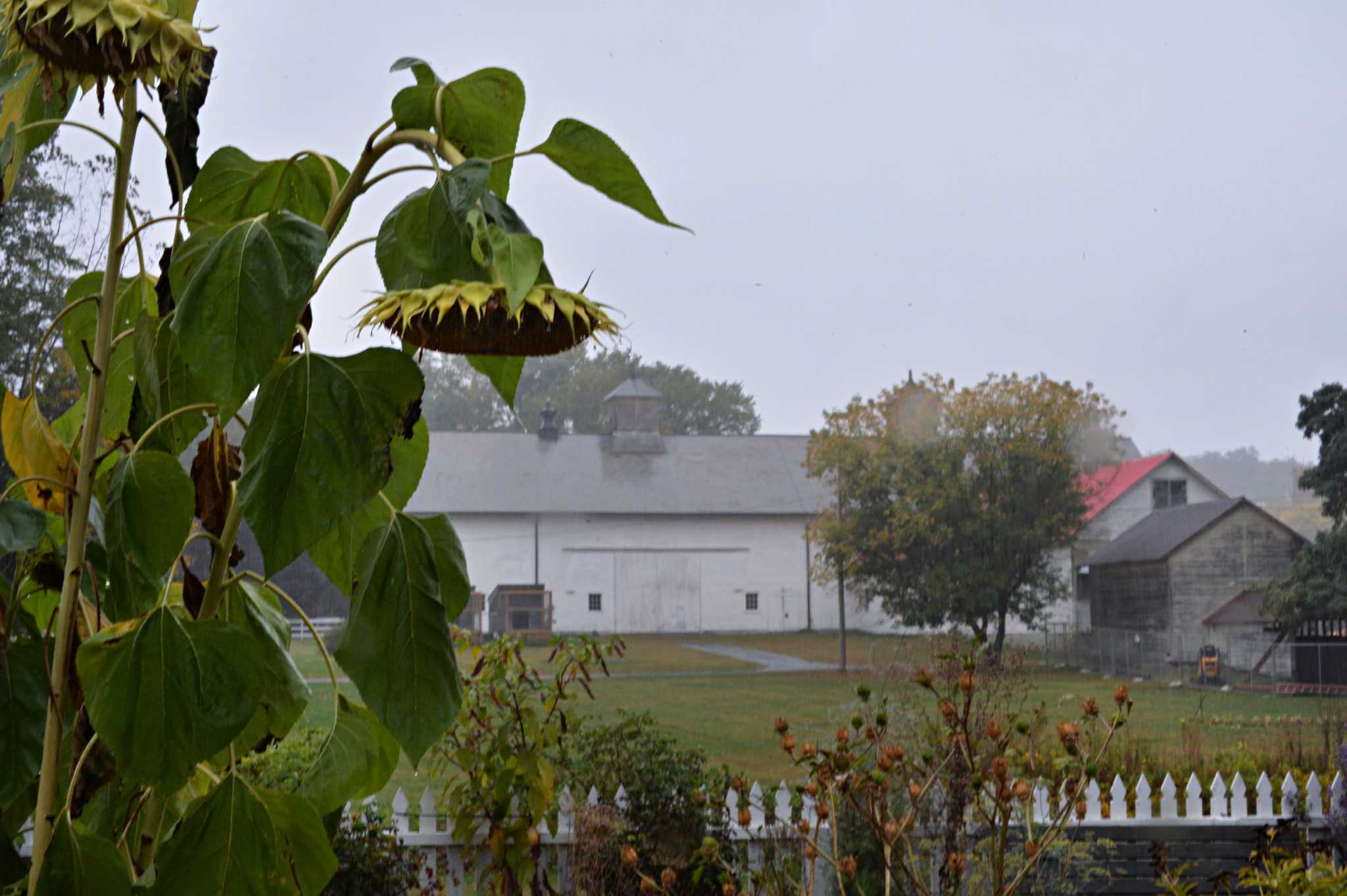 Letter: Shaker site part of area's history