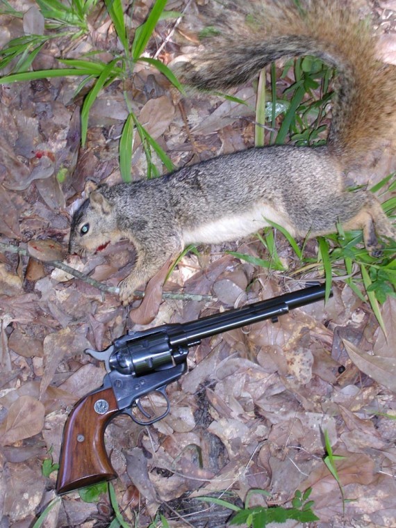 LeBlanc: Downed animals not always ready to be tagged, bagged