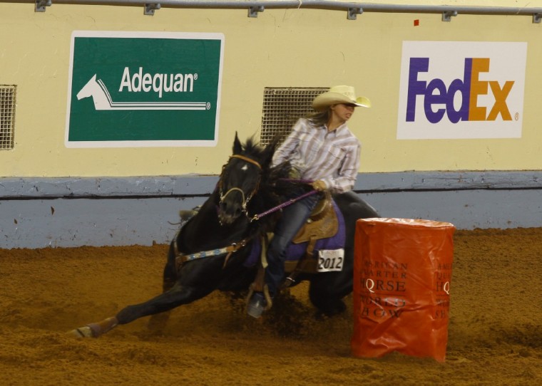 Black Quarter Horse Barrel Racing