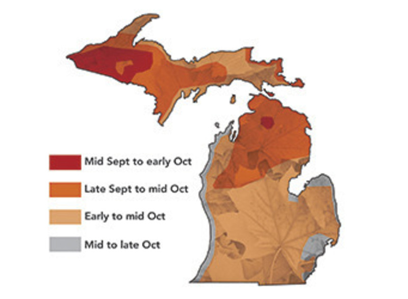Color Change In Michigan