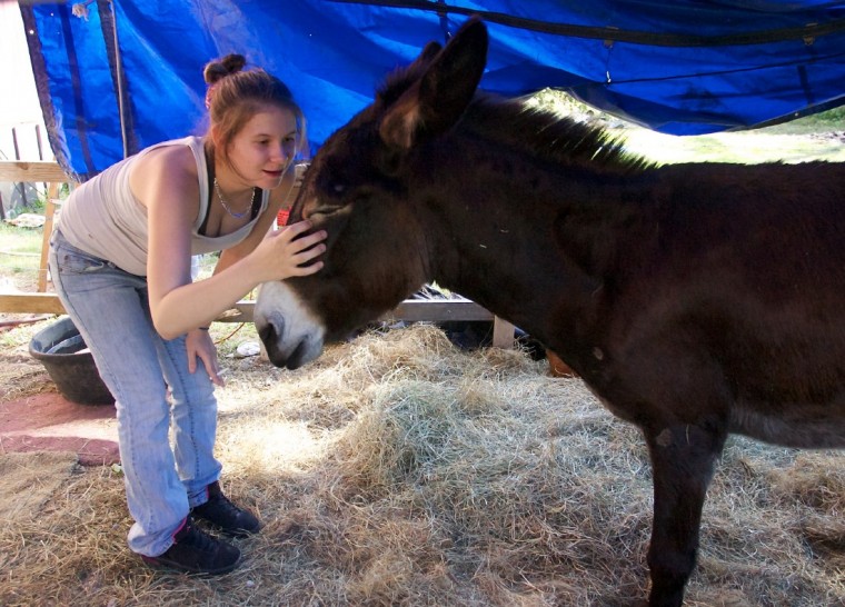 Family’s devotion to donkey will see her through injuries
