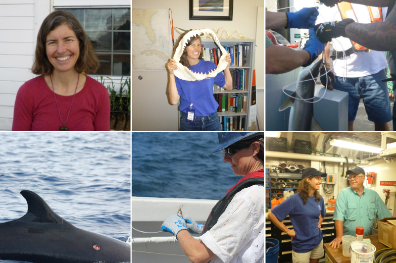 Second-grade teacher embarks on 14-day shark research expedition in ...