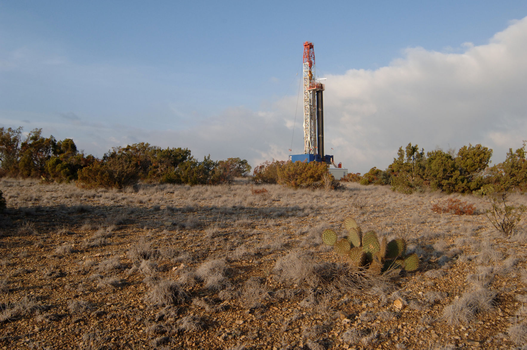 AAPG president: Oil and gas will remain energy source for decades