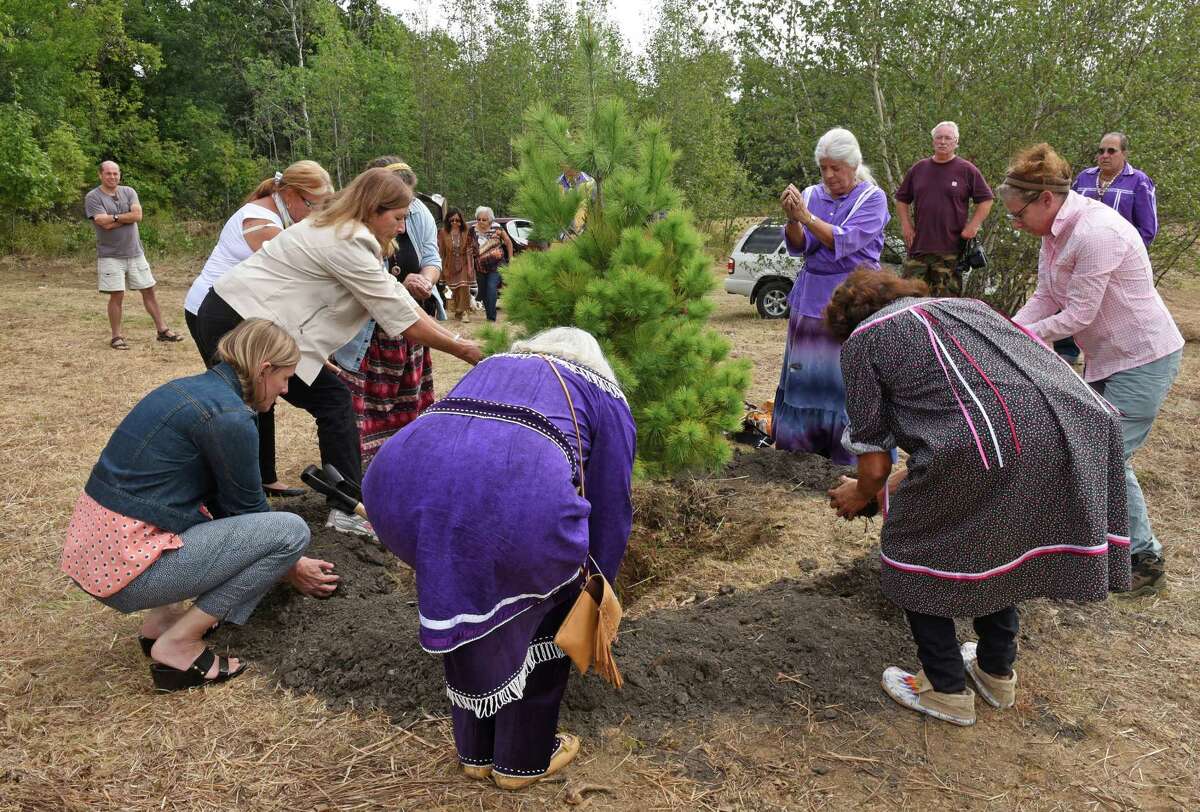 Photos: Tree of Peace planted in Waterford