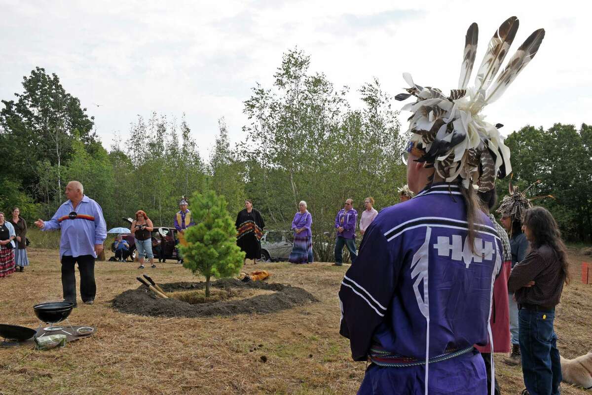 Photos: Tree of Peace planted in Waterford