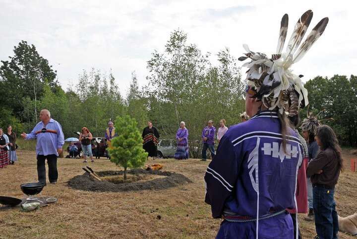 Photos: Tree of Peace planted in Waterford