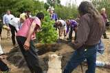 Photos: Tree of Peace planted in Waterford