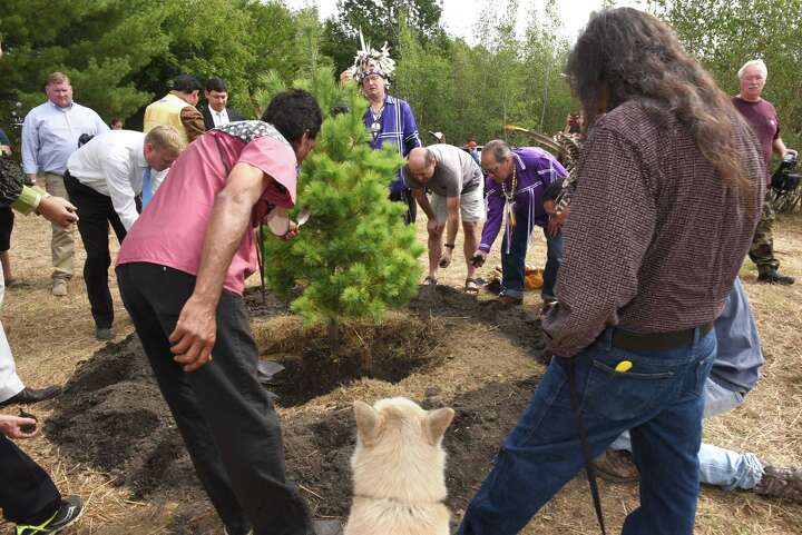 Photos: Tree of Peace planted in Waterford