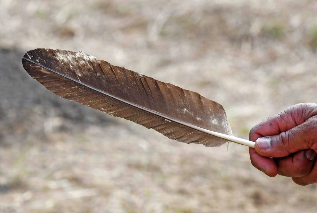 Photos: Tree of Peace planted in Waterford
