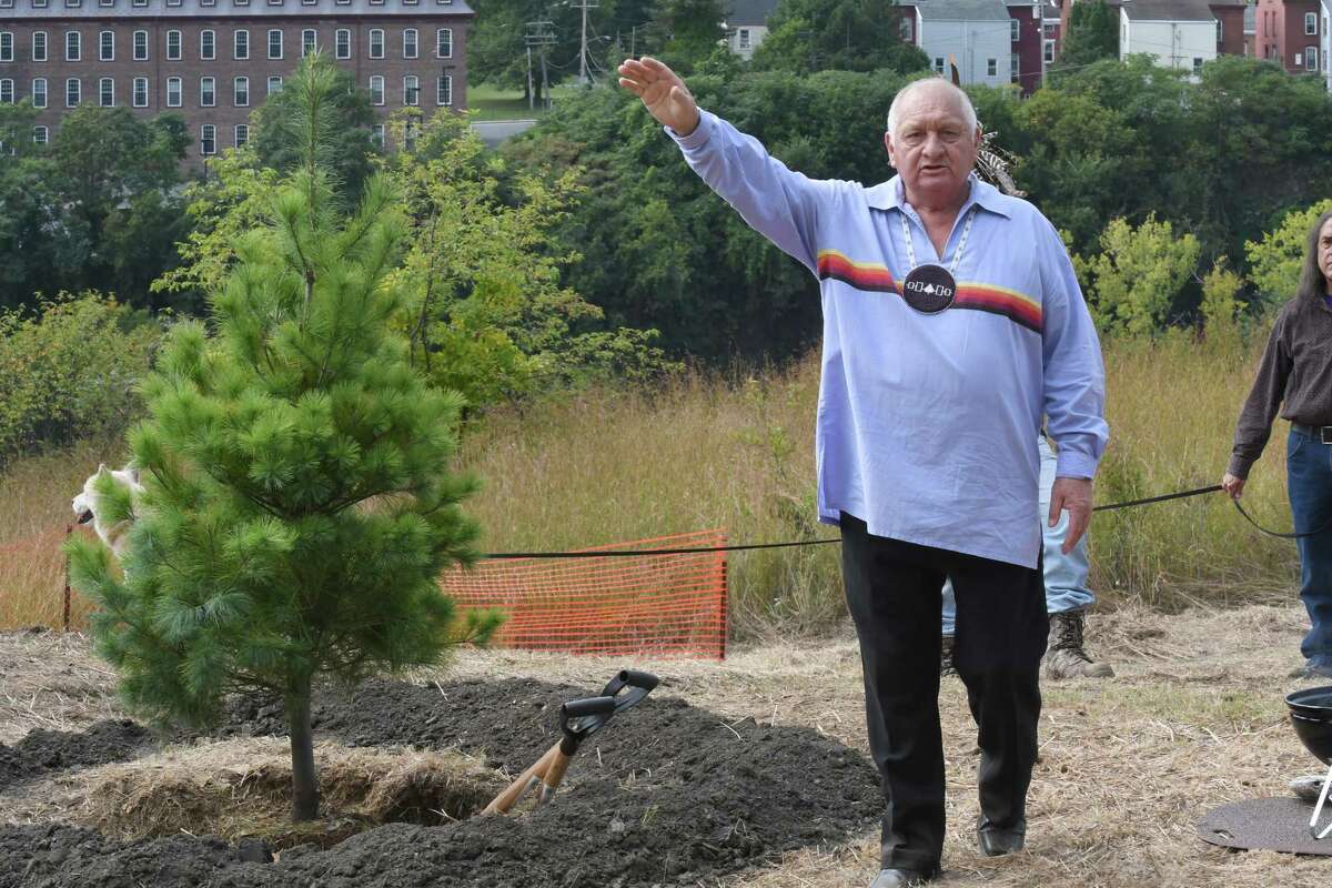 Photos: Tree of Peace planted in Waterford