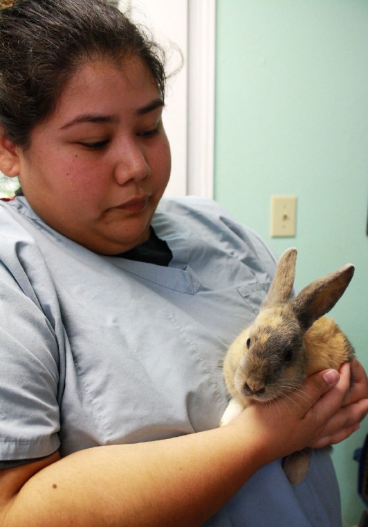 Rabbits saved from fire