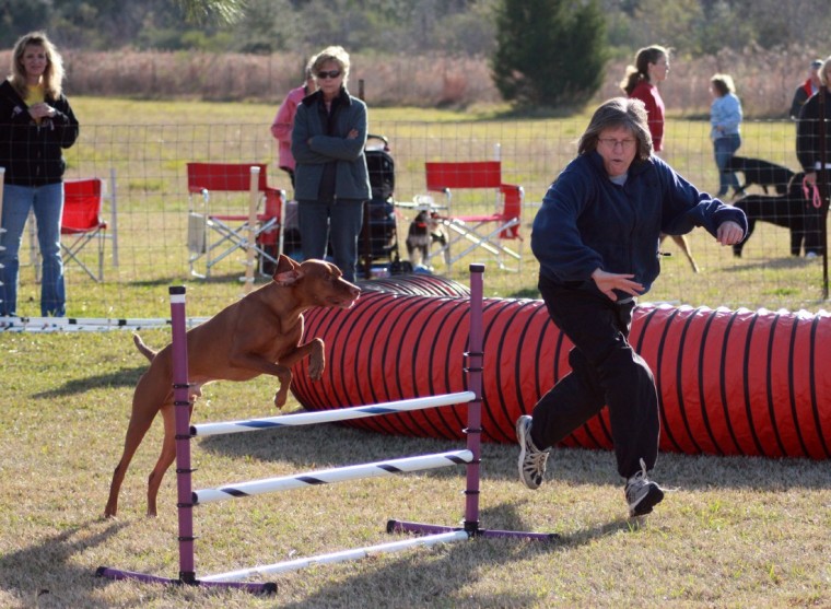 Agility teams depend on speed, accuracy and precision