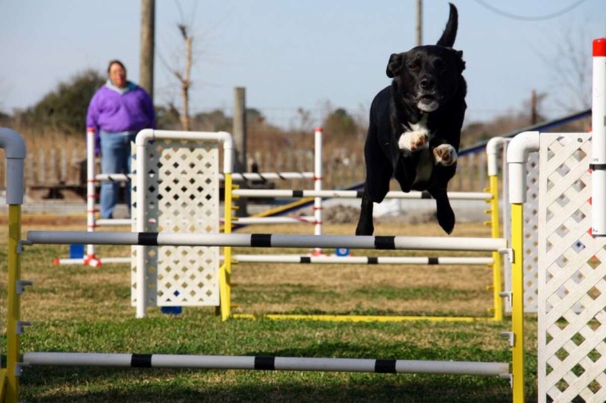 Agility teams depend on speed, accuracy and precision