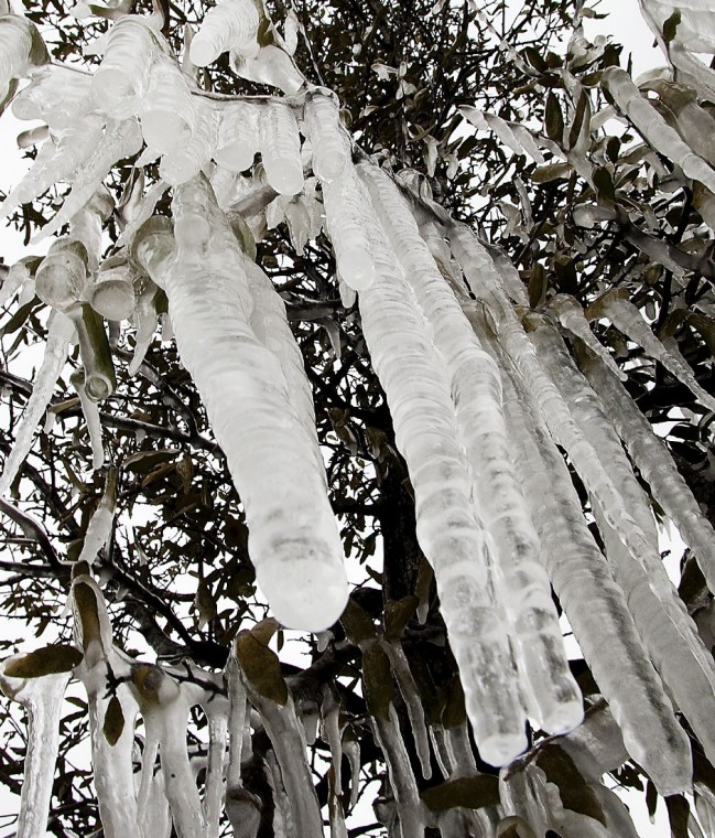 Hard freeze, wind chills of 10 to 15 degrees on the way