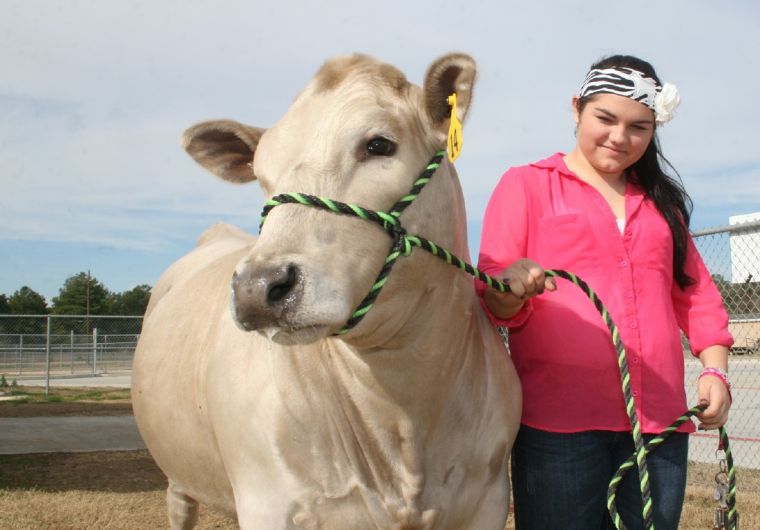 Tomball FFA Project Show set for Jan. 25-26