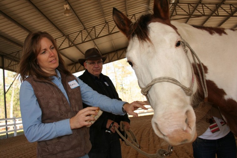 Class teaches parenting skills using horses