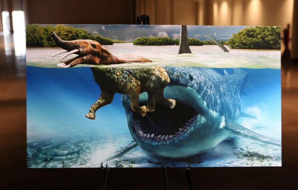Sneak peek: Prehistoric safari at HMNS’ new paleontology hall opening ...