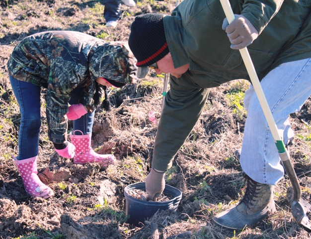 Team plants 100 trees in 20 minutes to win Arbor Day competition