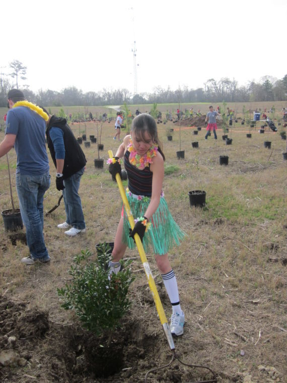 Volunteer teams compete to plant 1,300 trees in 141 minutes