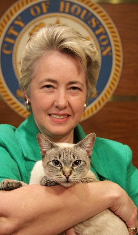 Houston mayor's pets of the week searching for a valentine