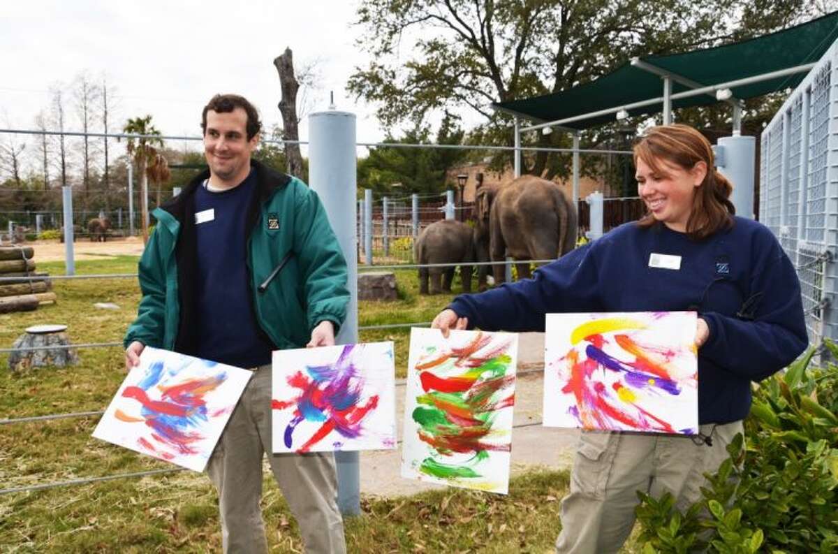 Houston Zoo elephants show off their talent