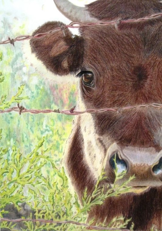 MISD announces HLSR Rodeo Art Show winners