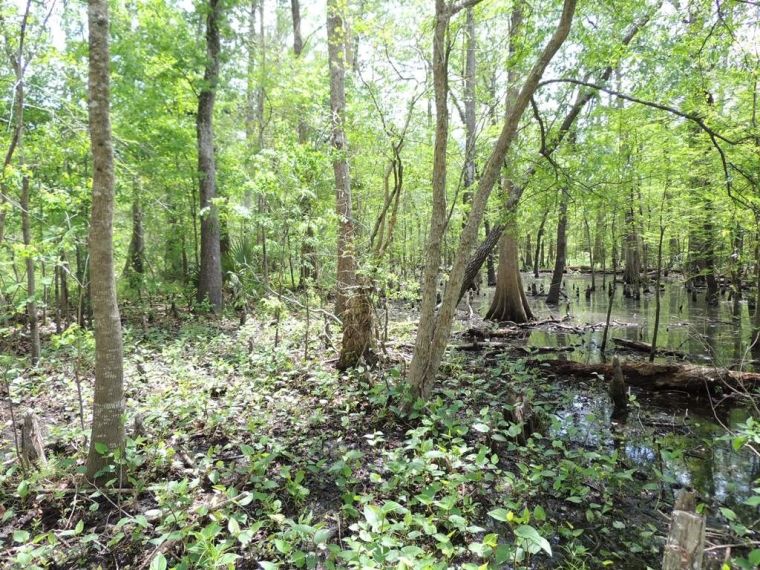 Trinity River Wildlife Refuge expanding
