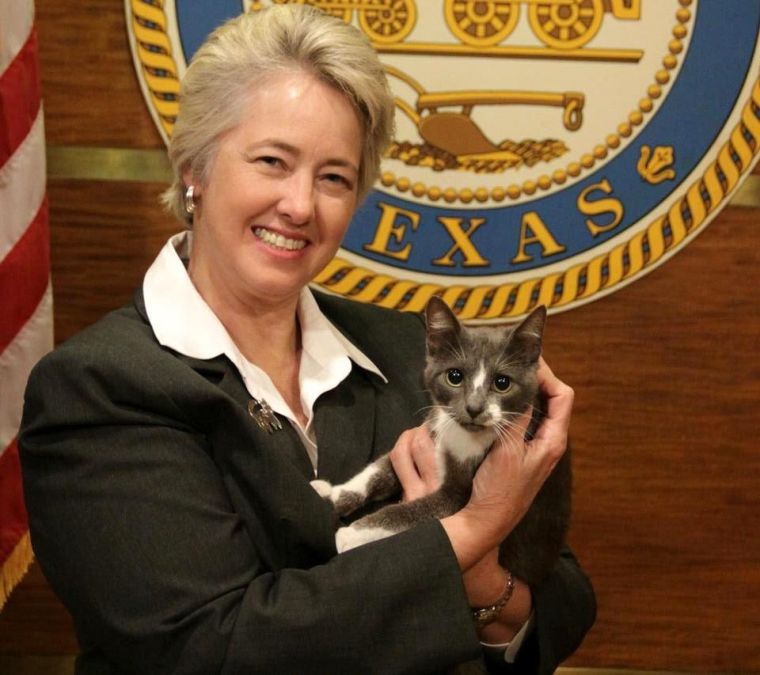 BARC Animal Shelter and Adoptions running at capacity, asks Houston to ...