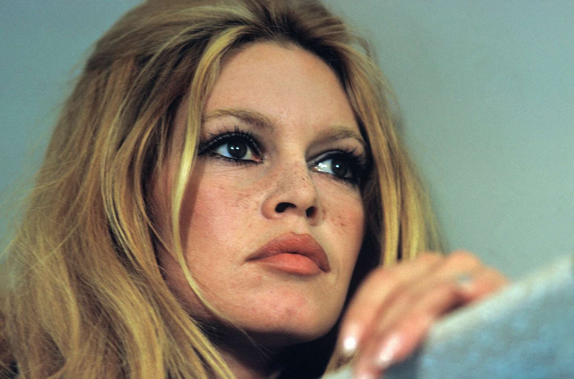 French icon and pinup Brigitte Bardot turns 83 years old